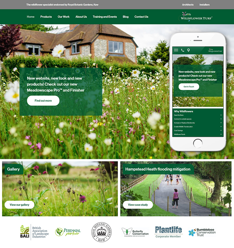 Website Design, Web Development and Ecommerce Websites | Hotbox Studios